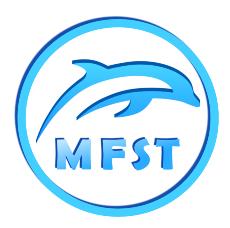 Manchester Farm Swim Team